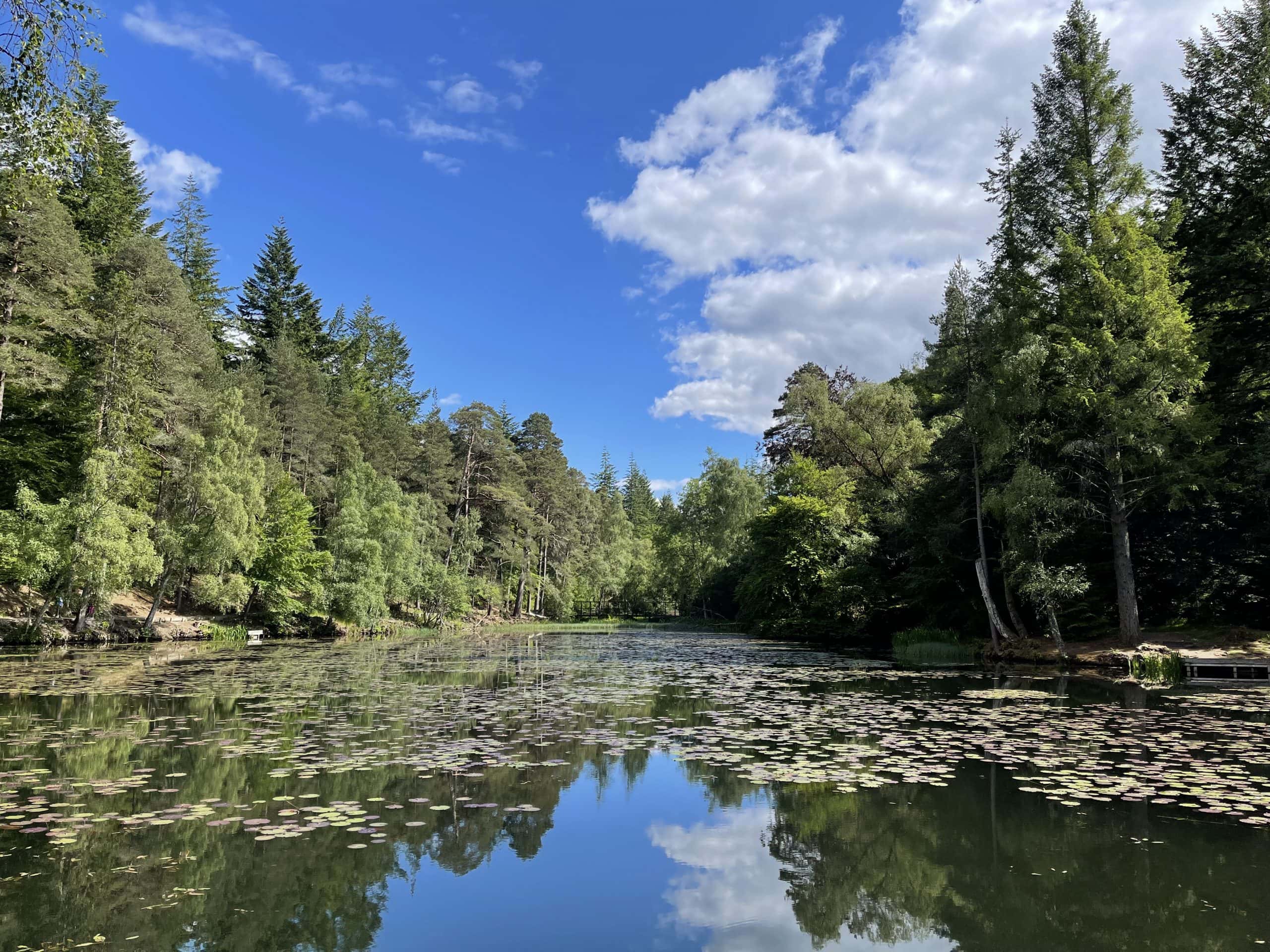 Gallery – Chestnut Lodge